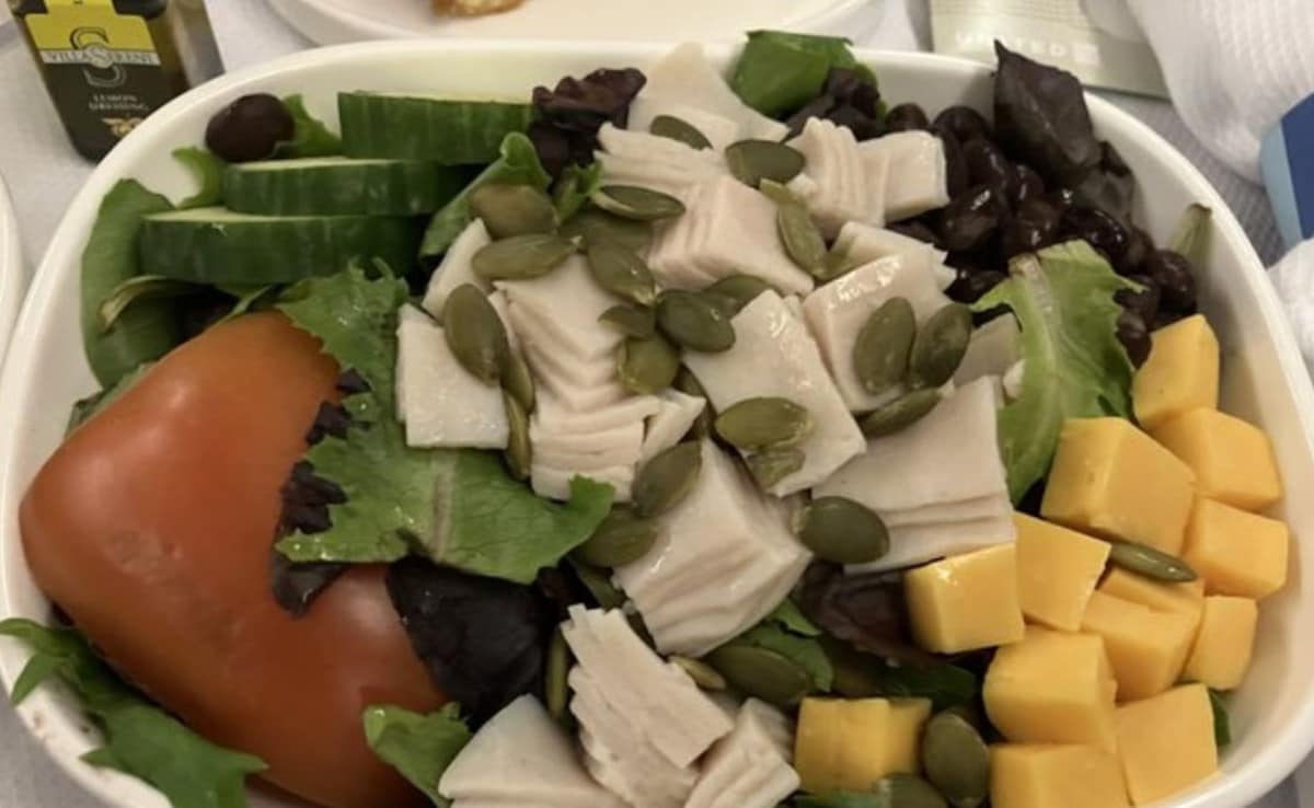 Google Scientist Blasts United Airlines For Serving 'Bowl Of Sadness ...