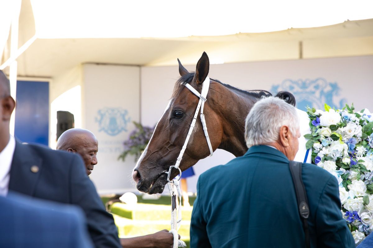 L’Ormarins King’s Plate 2026: Here’s how much the winner will earn