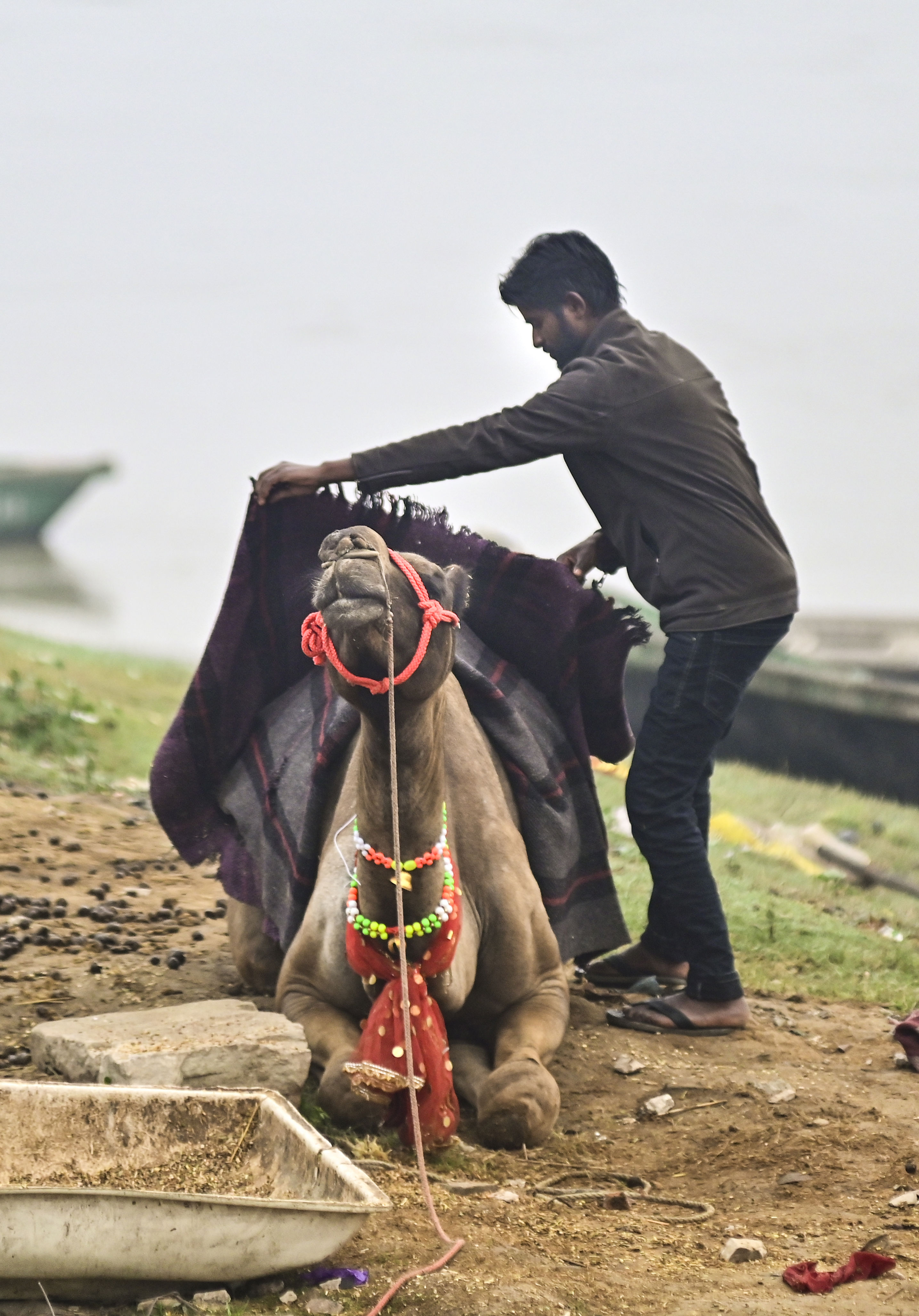 SC sets aside termination of MP judicial officer