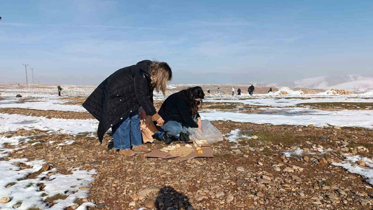 Batman’da yaban hayvanları için doğaya yem bırakıldı