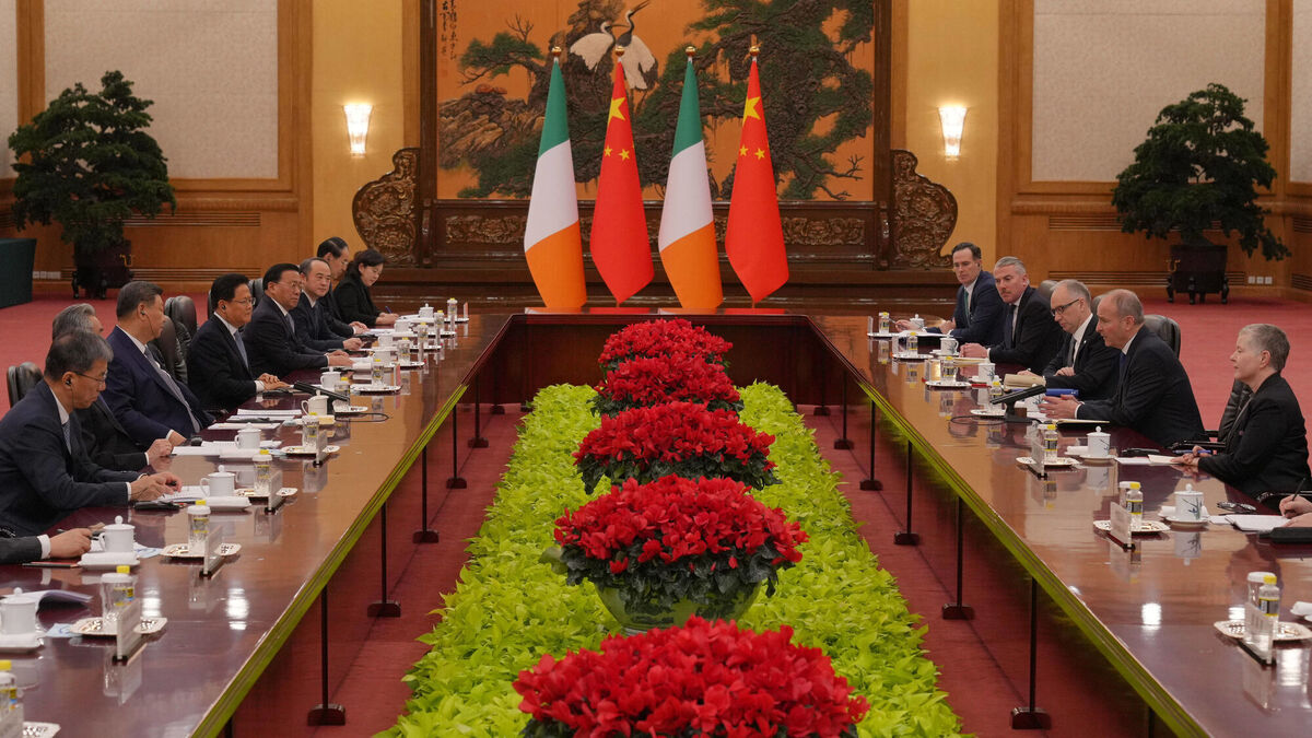 Micheál Martin meets China's Xi Jinping hailing 'long-standing ...