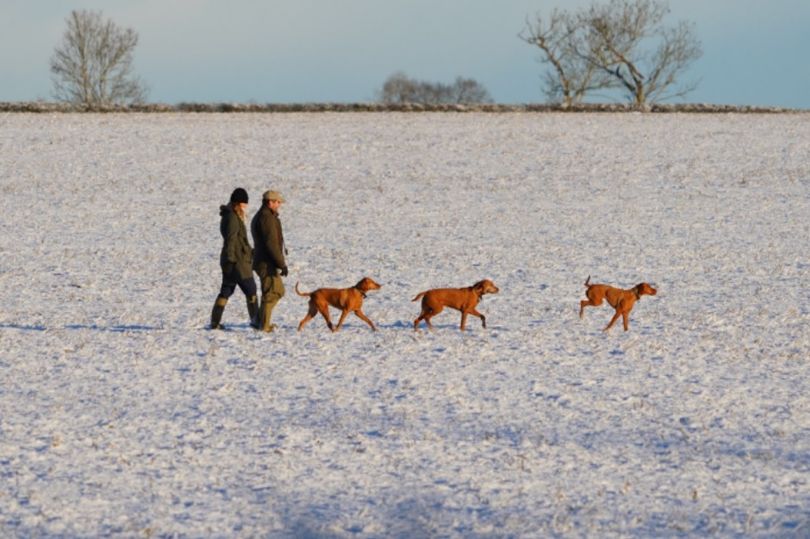Met Office warns UK households to gather emergency kit of 9 items on Monday