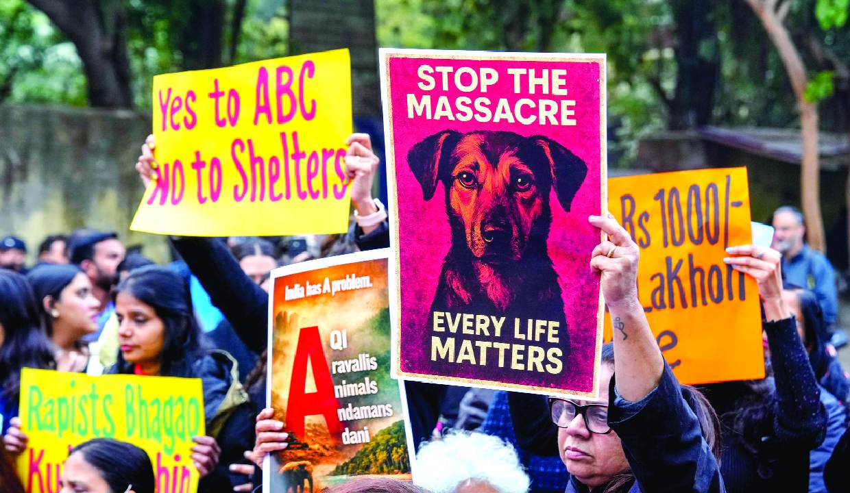 Activists protest over SC's order on street dogs
