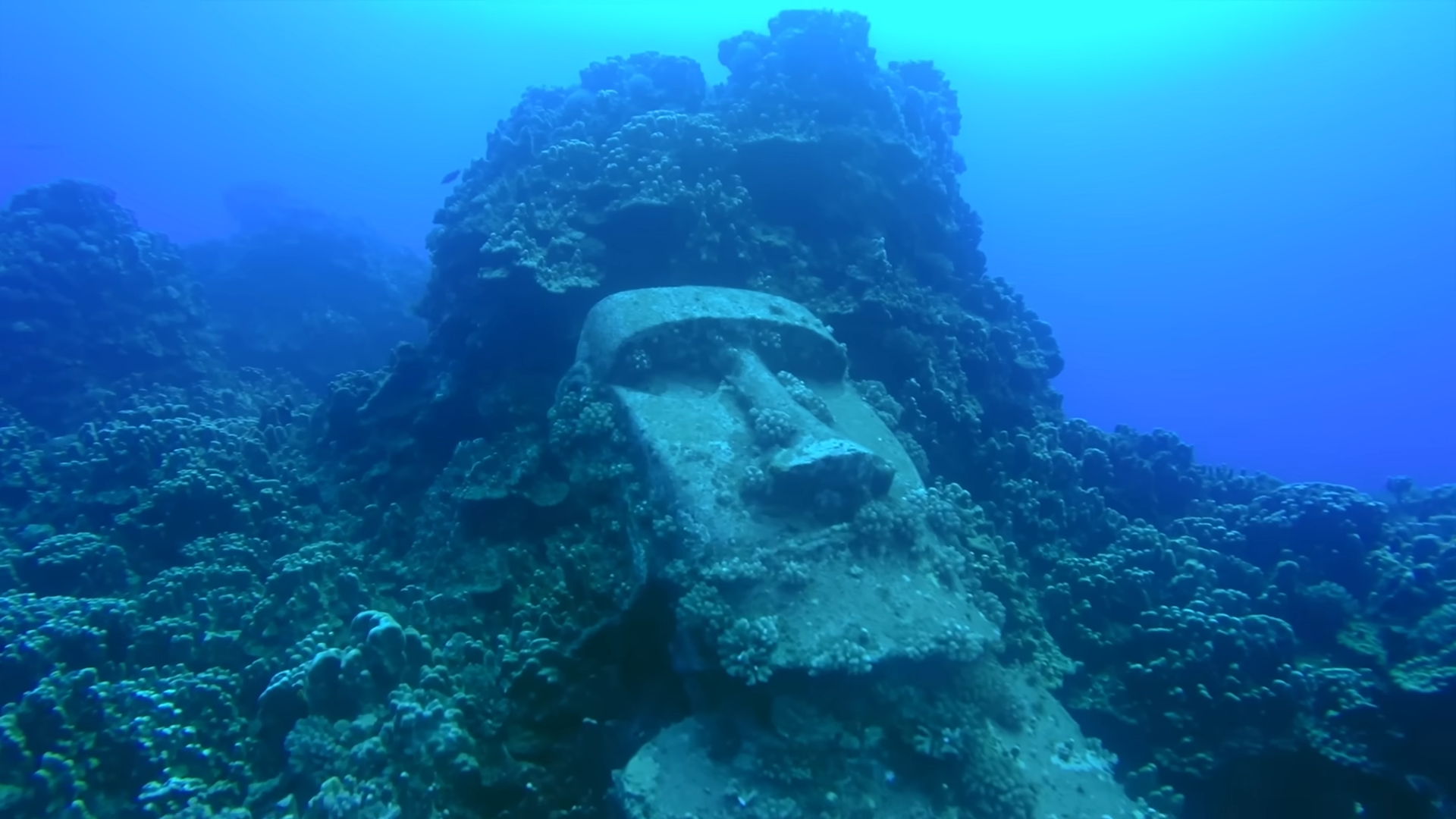 Who really built Easter Island’s statues? The truth will shock you