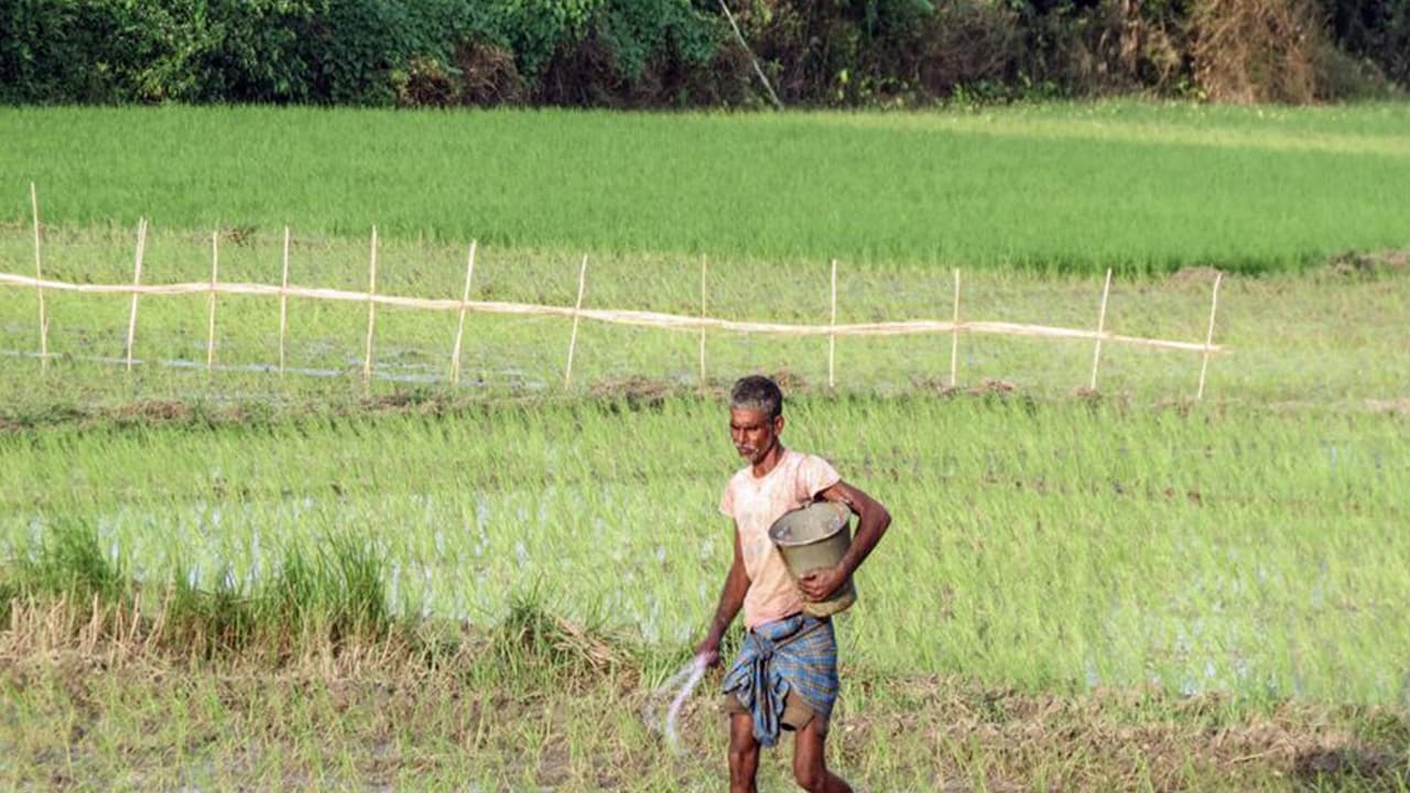 Fertilizer subsidy for rabi 2025-26 rises amid volatile global prices