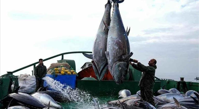 Tezgahta rekor geldi! Dev orkinos 3,2 milyon dolara satıldı