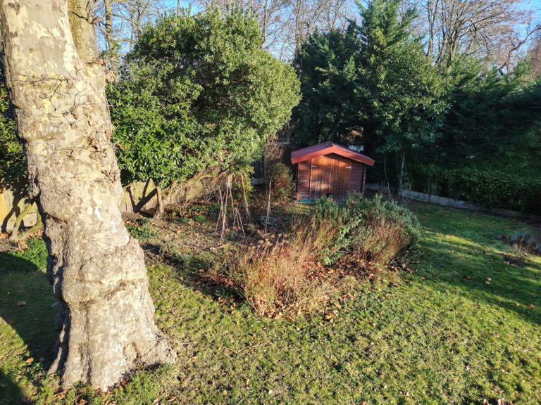 Prise en main du Honor Magic 8 Lite : le smartphone increvable qui ne ...