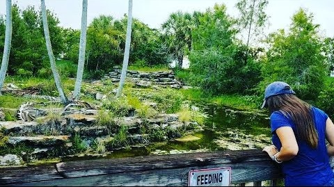 Massive fish pond makeover - watch the stunning before and after