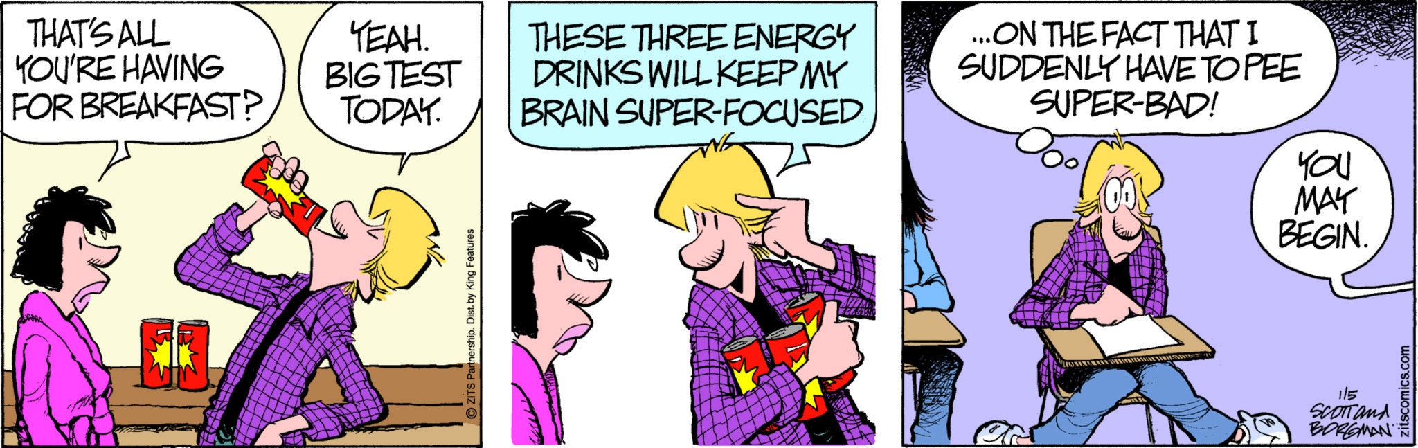 Zits by Jerry Scott and Jim Borgman
