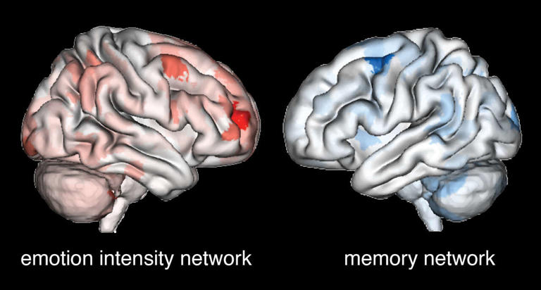 According to Yale study, stress can be good for us and helps us form ...