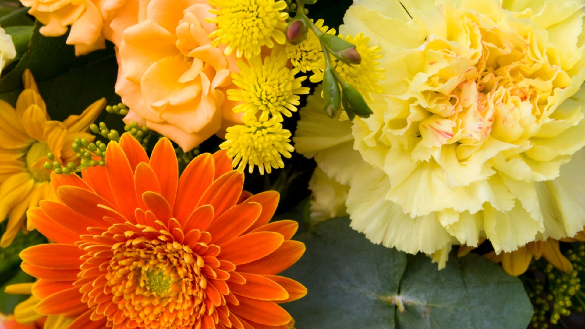 Hoe houd je het langst bloemen goed in huis? 9 slimme tips