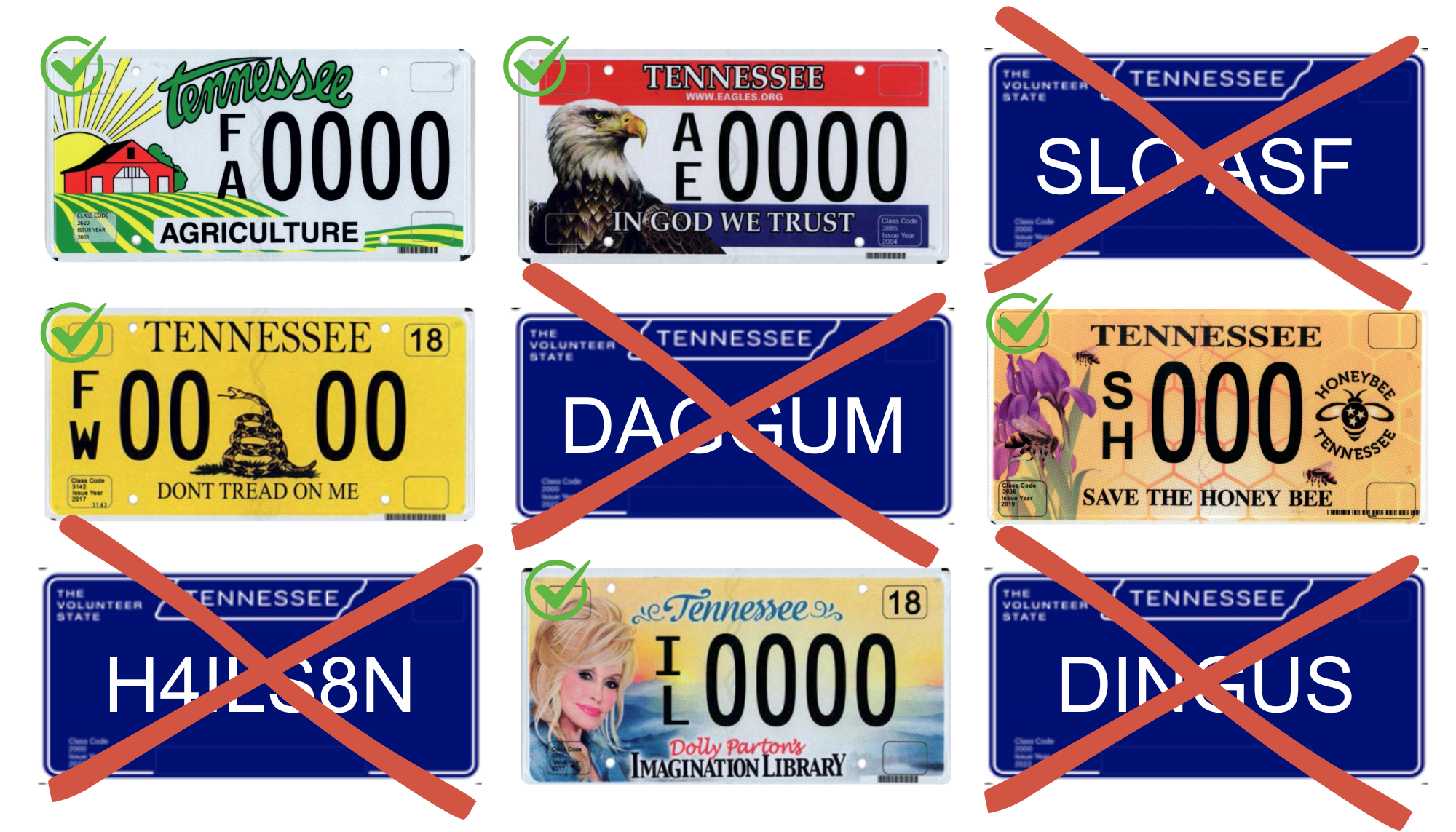 No butts, no '6-7,' no ducks: The rejected TN license plates of 2025