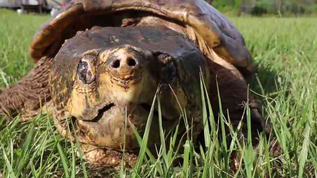 Up close with bears, baboons & more