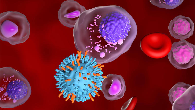 The quest to cure myeloma: Mission accomplished?