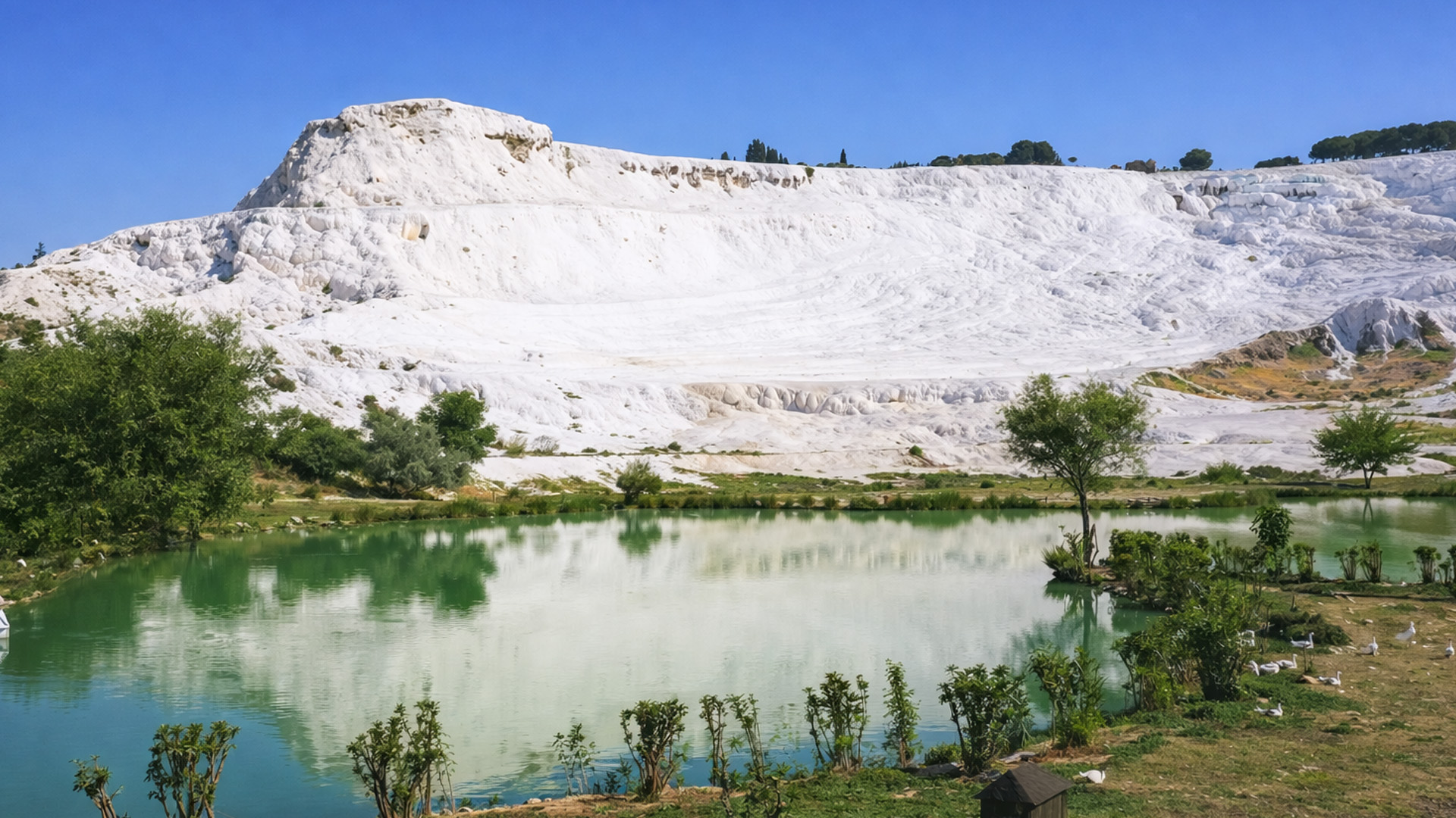 ¿Es esto nieve o algo diferente?