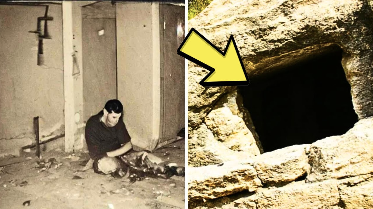 Hiker discovers a hidden structure in the woods and alerts authorities