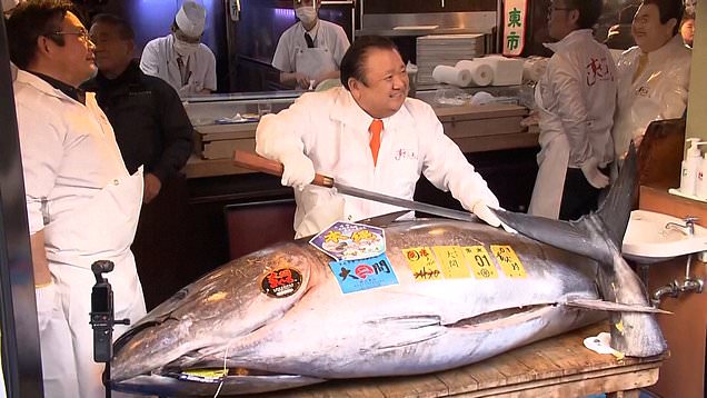 Bluefin tuna auctioned at record 510.3 million yen at Tokyo's fish market