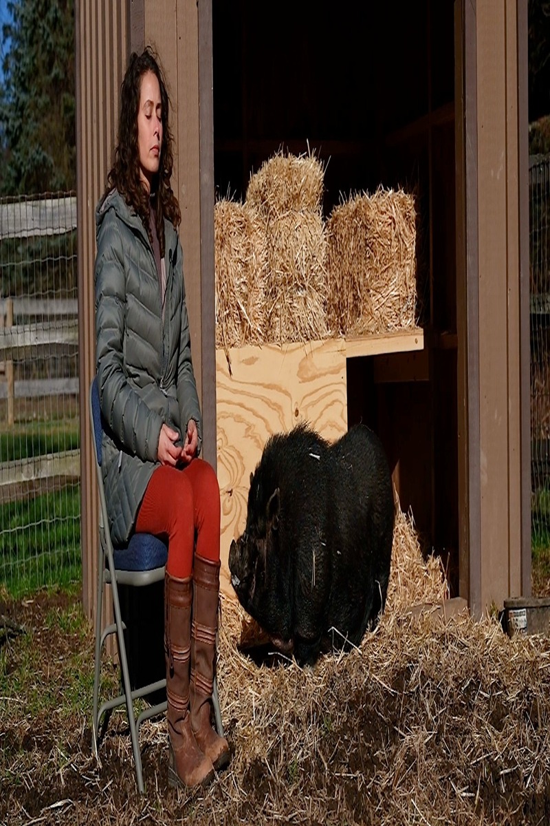 Meet the animal communicator who says anyone can talk to animals