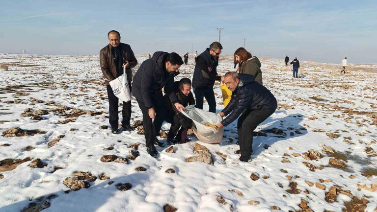 Batman’da yaban hayvanları için doğaya yem bırakıldı