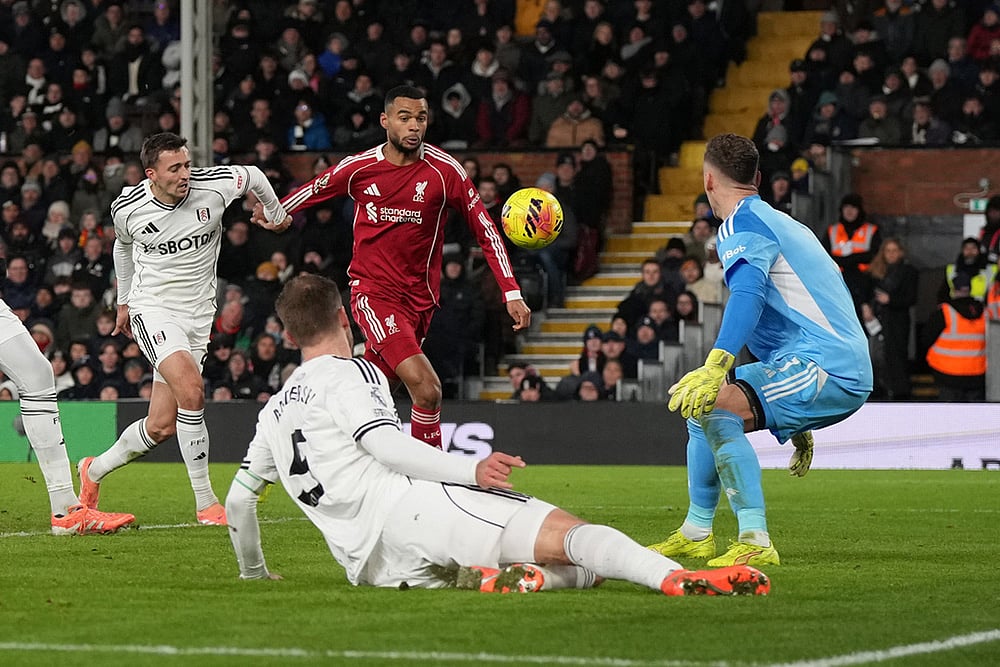 Fulham 2-2 Liverpool, Premier League: Late Harrison Reed corker rescues ...