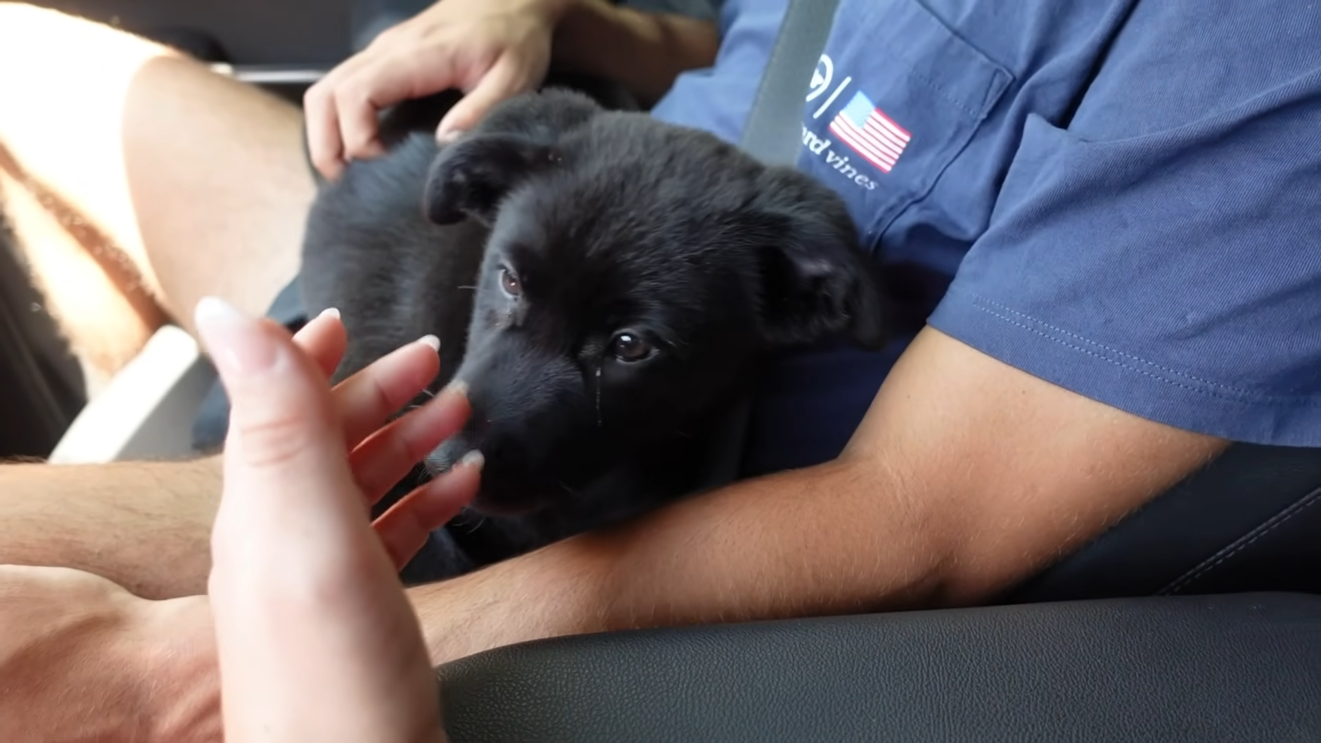 From fear to joy: The puppy who wouldn’t stop wagging