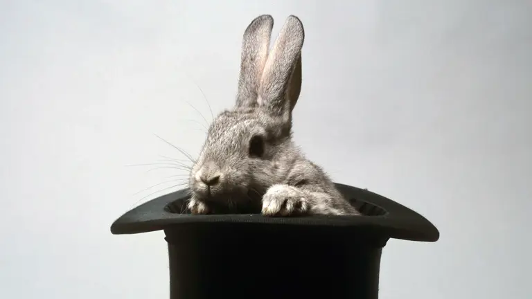 Arten der Zauberei: Die gute und die böse Täuschung