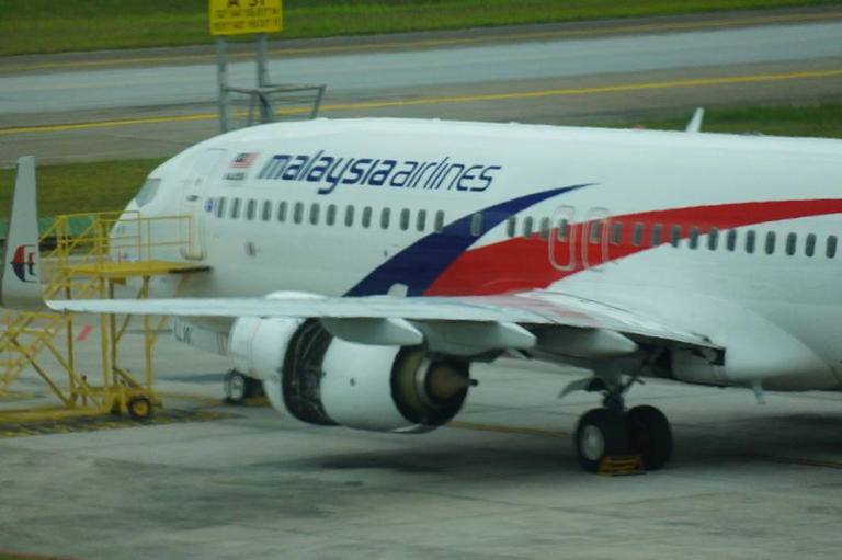 Engineer claims MH370 'perfect crime' can still be solved as new search ...