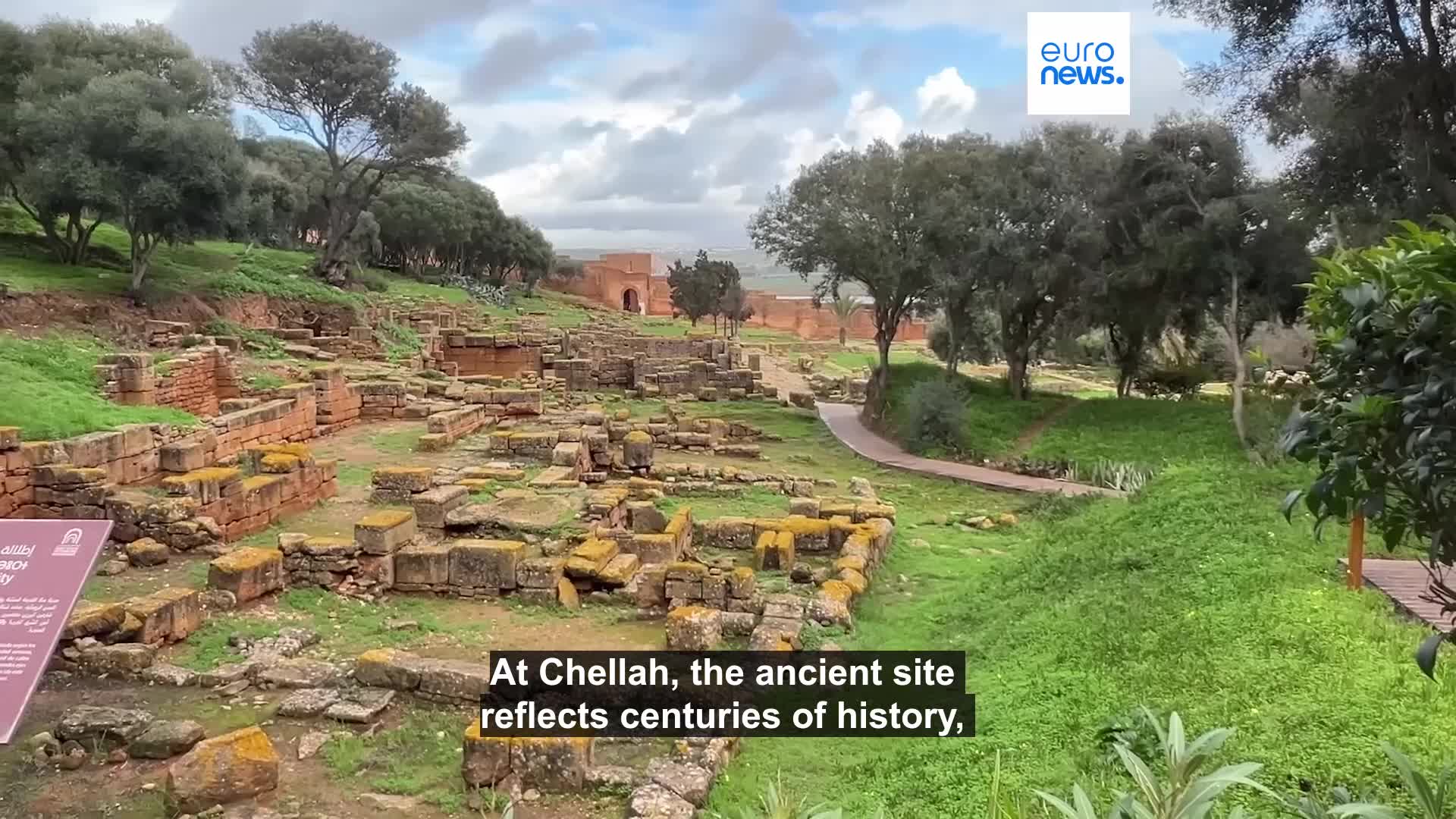 Cameroon edge South Africa, to face Morocco next