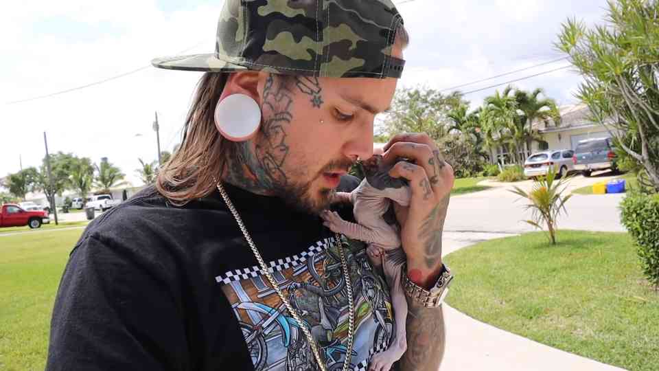 Inside the emotional journey of bringing home a baby Sphynx