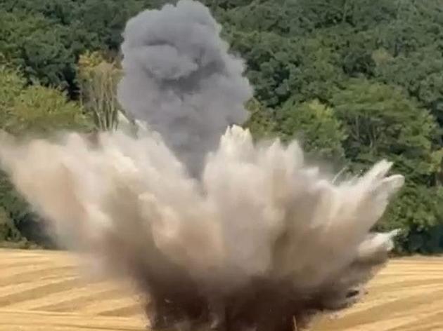 Das war 2025: Falsche Knöllchen, ein entlaufener Pfau und ein großer Knall