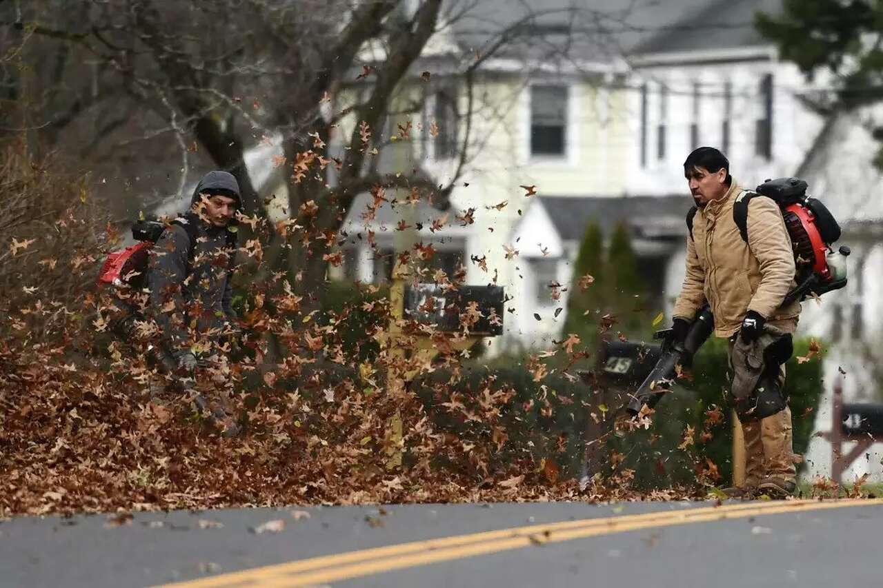 Tell us: Should more Connecticut towns ban gas-powered leaf blowers?