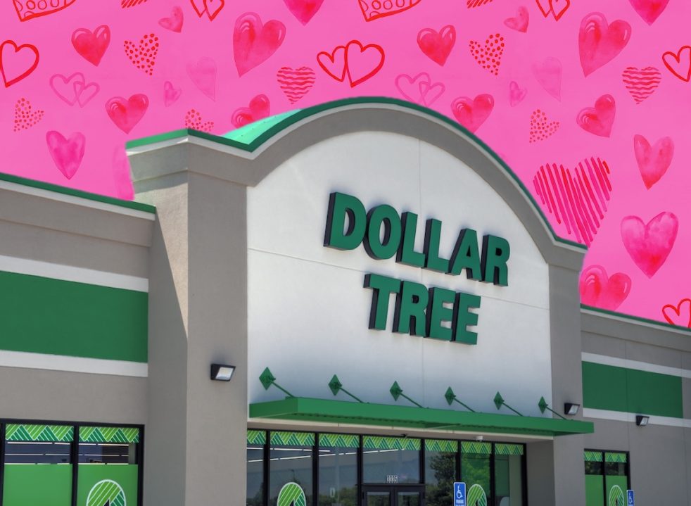 7 best Dollar Tree decor finds hitting shelves this January