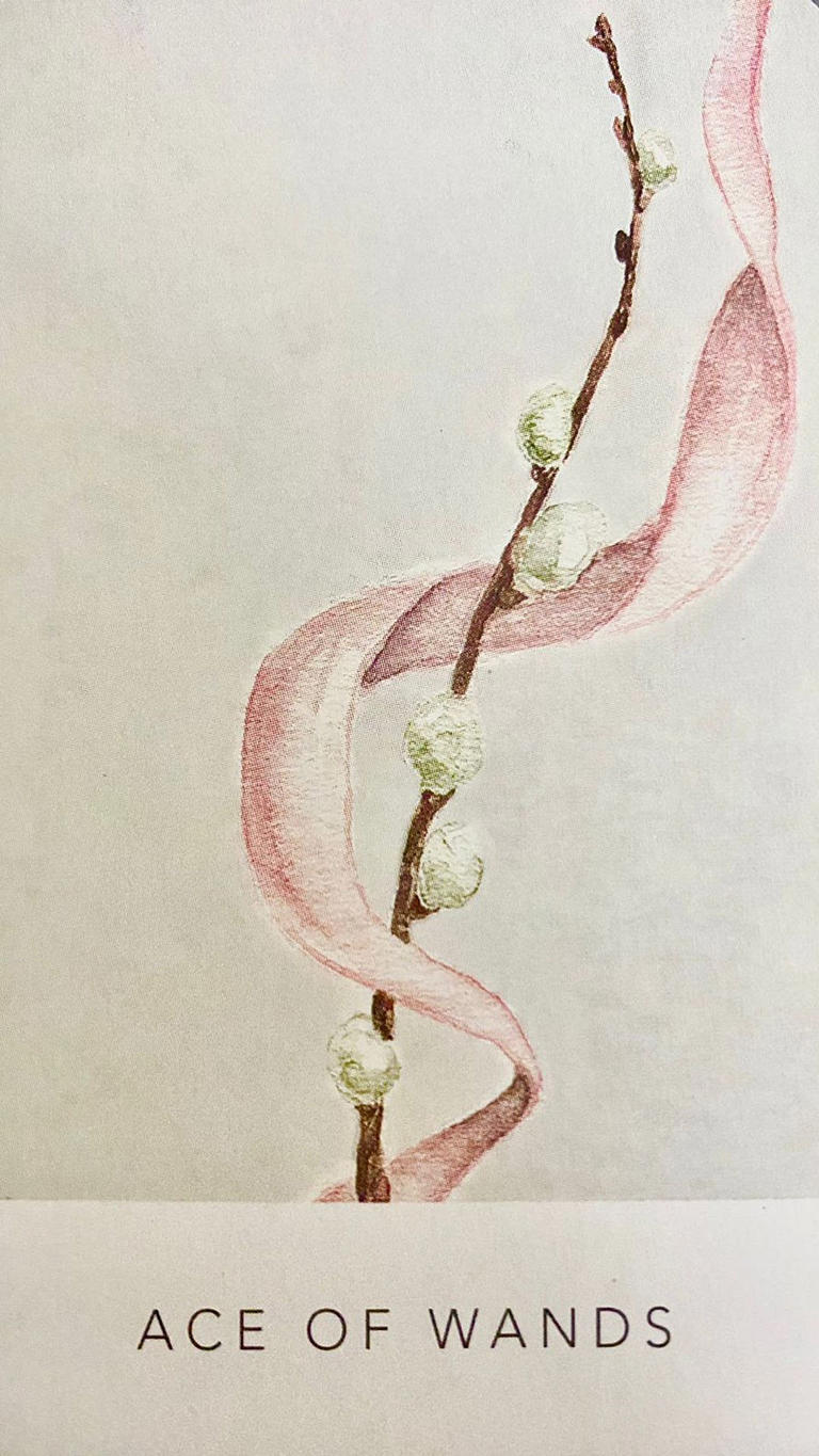 Weekly tarot predictions: Tarot card reading from Jan 5 to Jan 11, 2026 ...