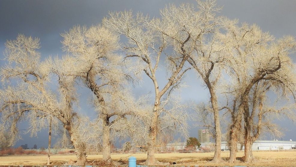 More showers expected for Reno, Lake Tahoe on Monday