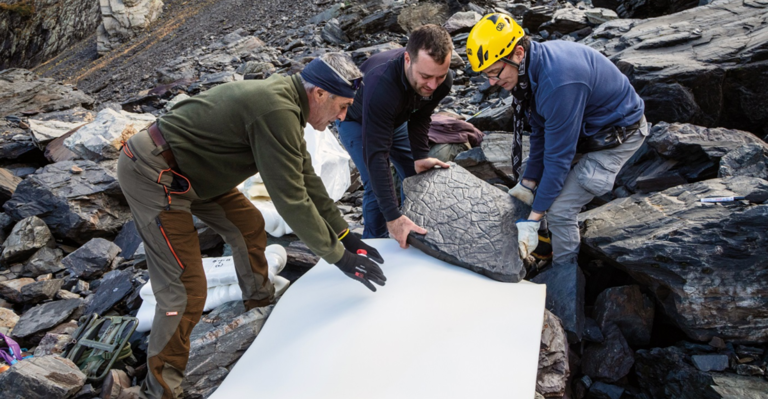 Hiker stumbles upon 280-million-year-old tracks that precede dinosaurs