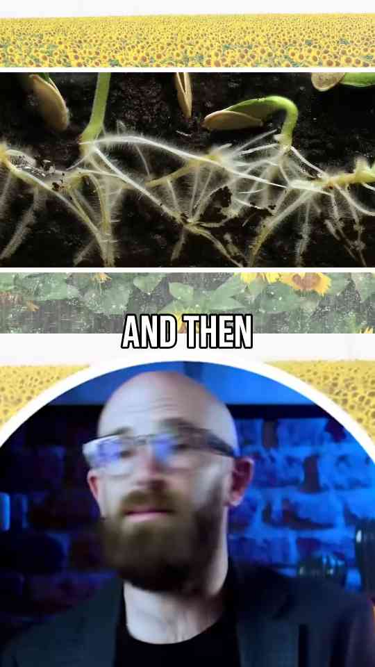 Acid rain and global warming - The great dying event