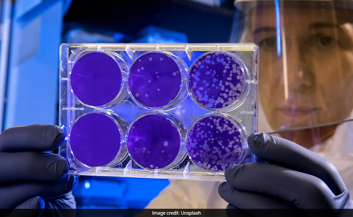 All about deadly 'superbug' that's spreading fast across US, raising ...