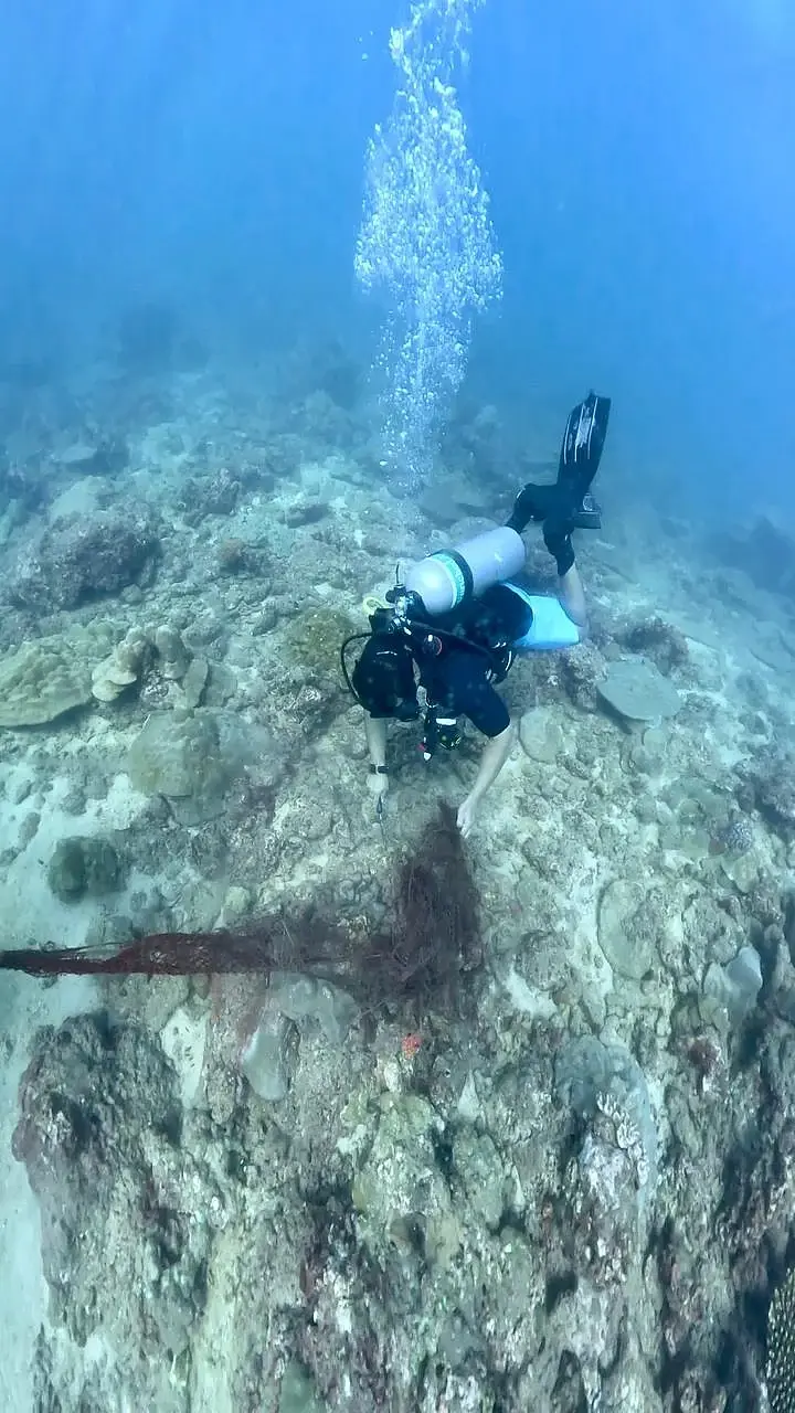 How one rescue by diver in Fujairah put UAE on global marine ...