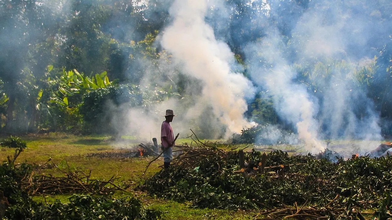 6 things you're not allowed to burn in your backyard (but people still do)