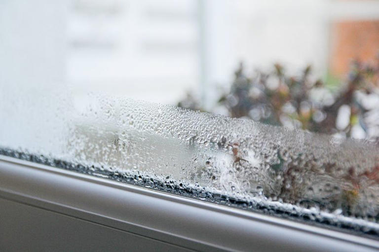 Irish households urged shut all windows and doors ‘day and night’ for ...