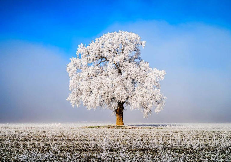 El paisaje de “Frozen” es real: la ciencia detrás de la centellada, el ...
