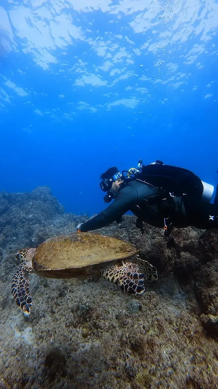 How one rescue by diver in Fujairah put UAE on global marine ...