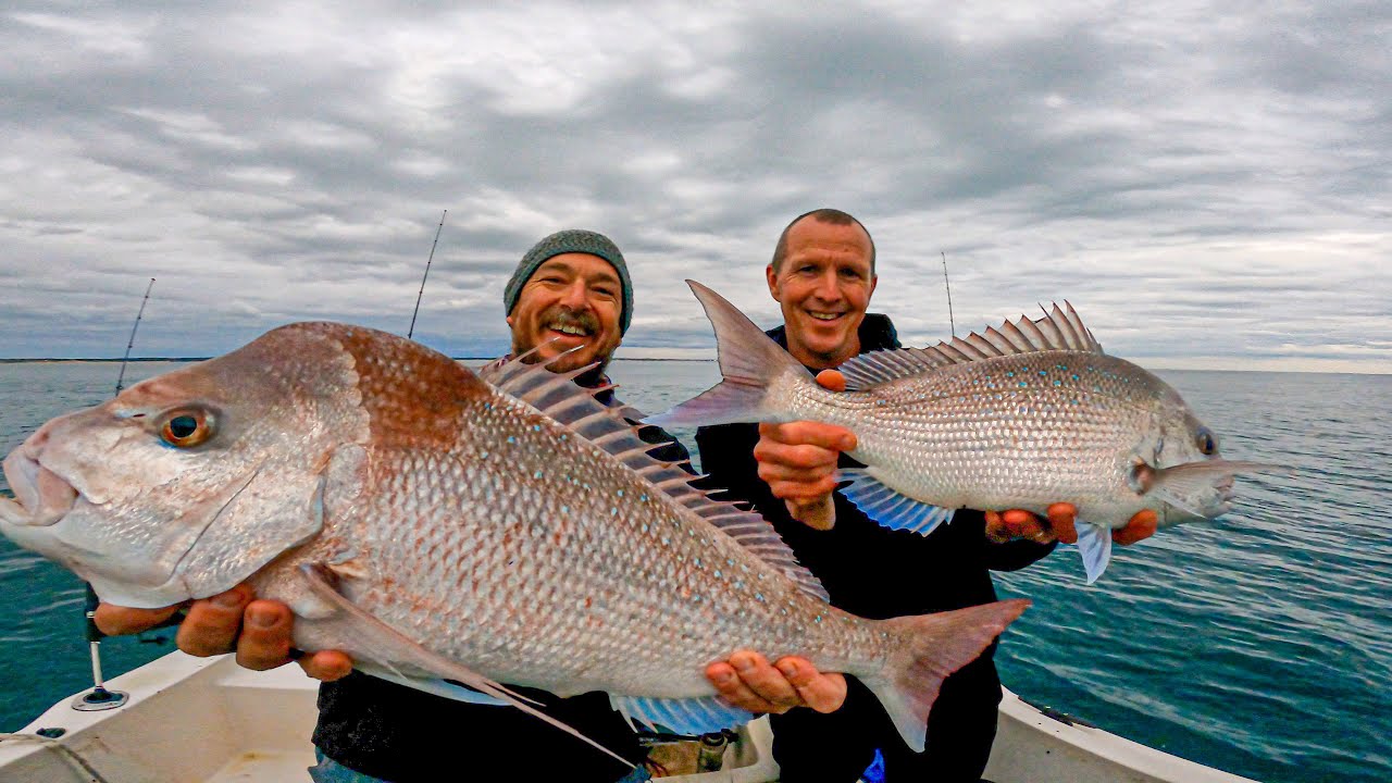 The tide flips and the snapper wake up