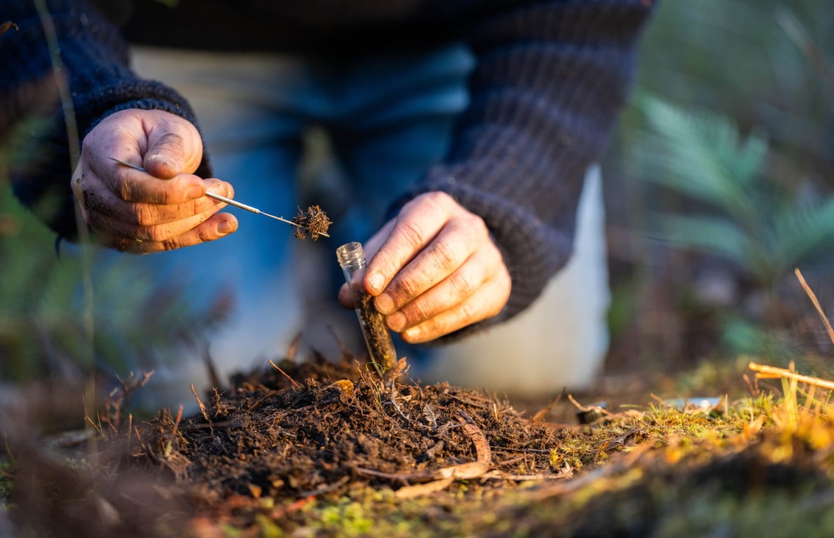 How to prepare a lawn soil sample in 5 simple steps for the best results