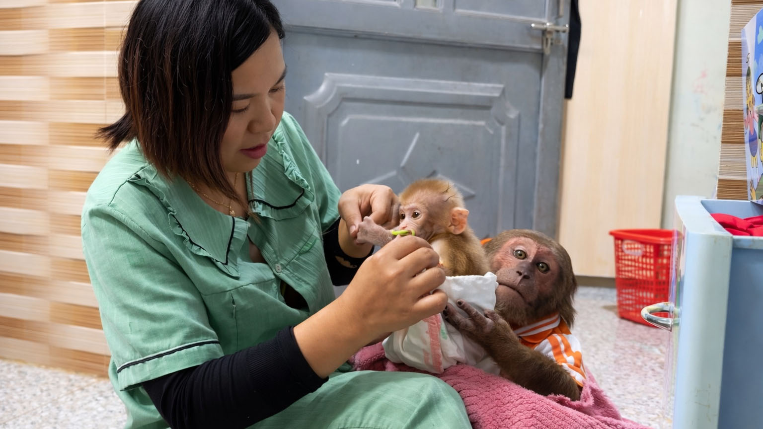 Cutis helps mom take care of the mischievous baby