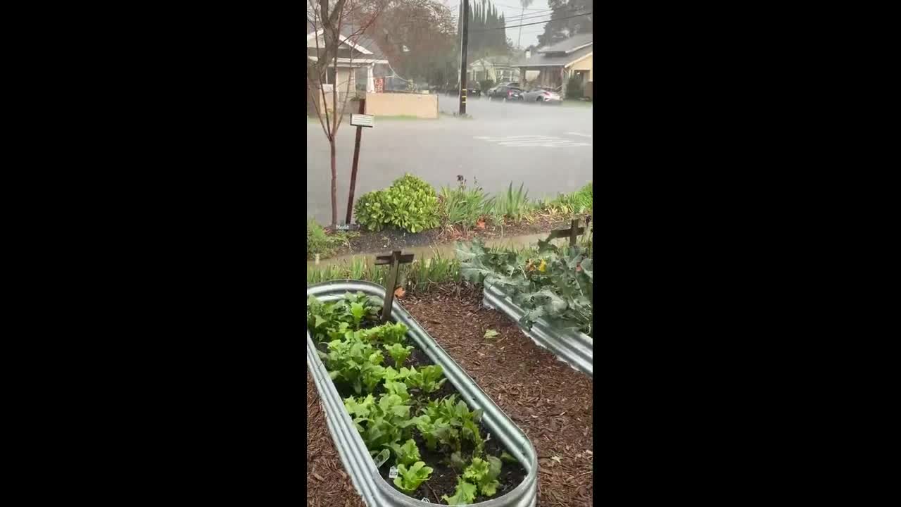 Heavy rainfall floods residential streets in California, USA
