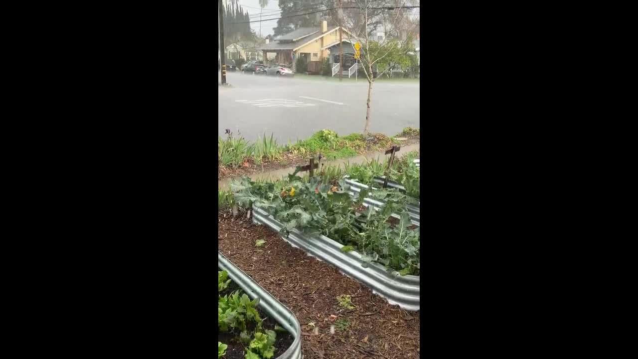 Heavy rainfall floods residential streets in California, USA