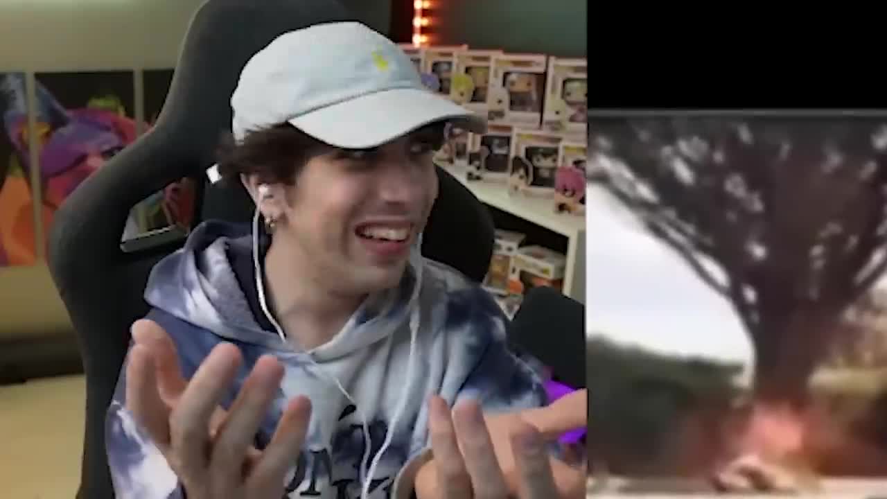 ¡No te rías o suscríbete! Reaccionando a los memes MÁS graciosos de mi ...