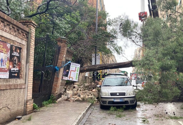 Maltempo, un albero colpisce due auto ad Ancona, passeggeri incolumi