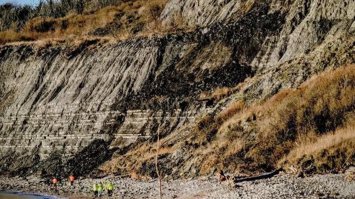 Warning as large landslip boulders fall on to beach